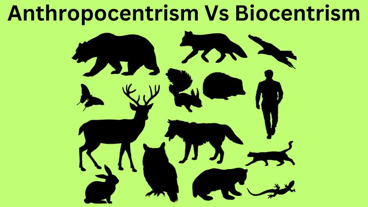 Biocentrism Debunked: Science Behind Animal Life & Environment